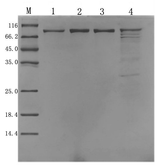 Thermostable Polymerase | Axis Shield Density Gradient Media